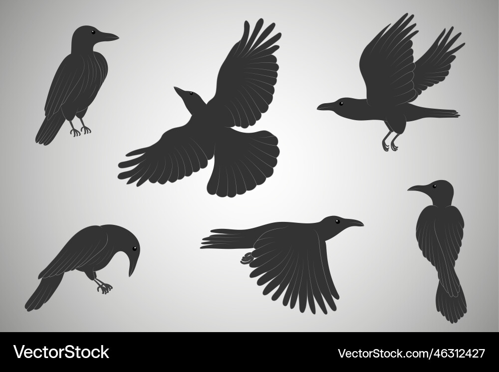 Flying Crow Art