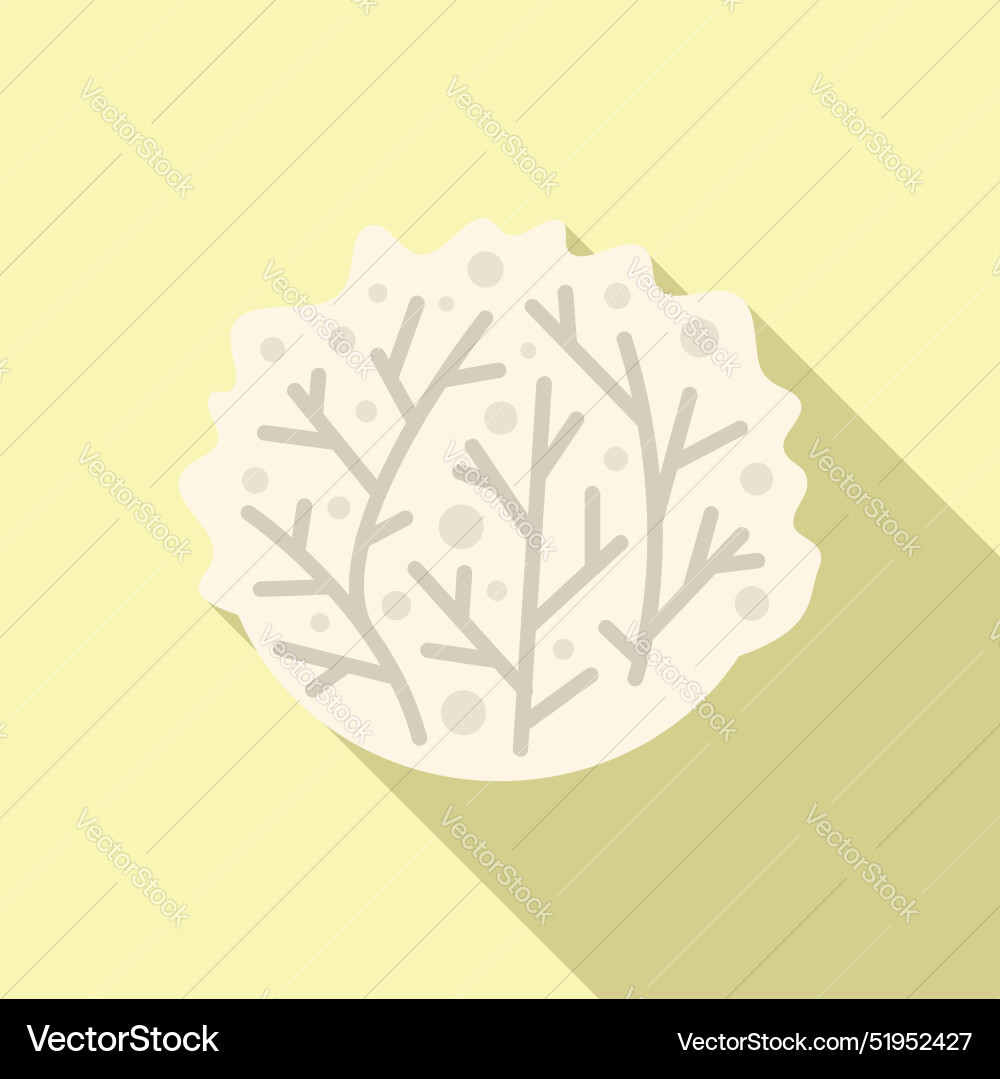 Fresh round lettuce growing organically on farm Vector Image