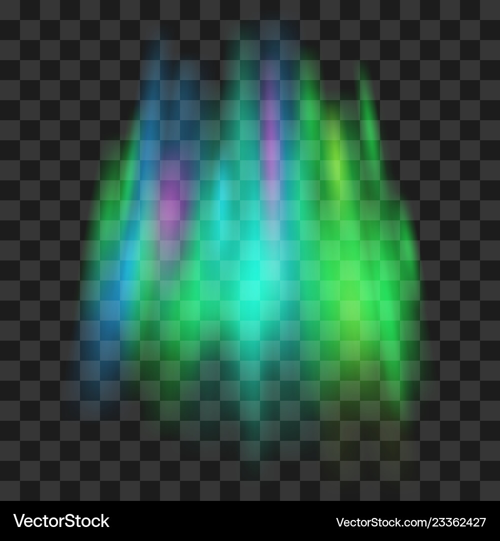 Northern lights aurora borealis on transparent Vector Image