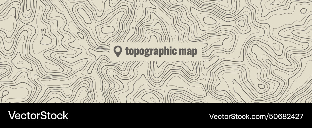 Topographic map with contour lines geographic Vector Image