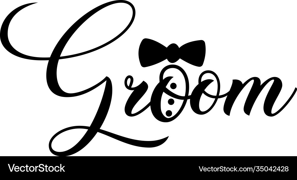 Groom isolated on white background Royalty Free Vector Image
