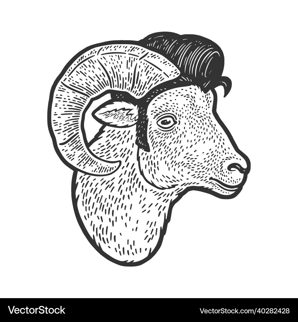 Ram with stylish hair sketch Royalty Free Vector Image