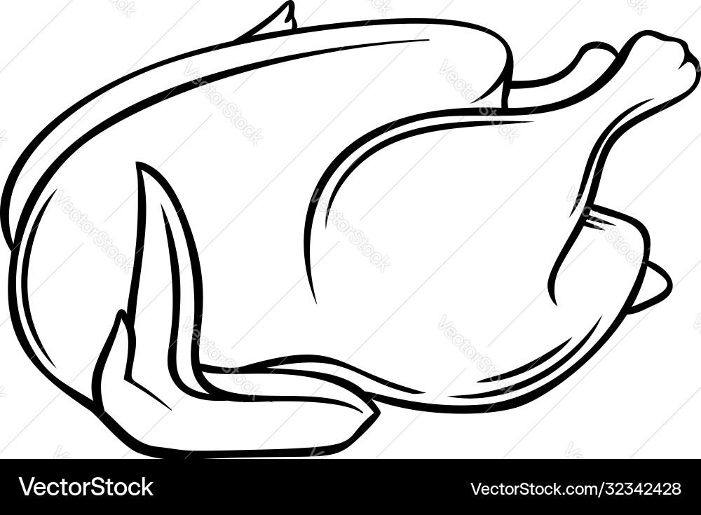 Raw whole chicken Royalty Free Vector Image - VectorStock