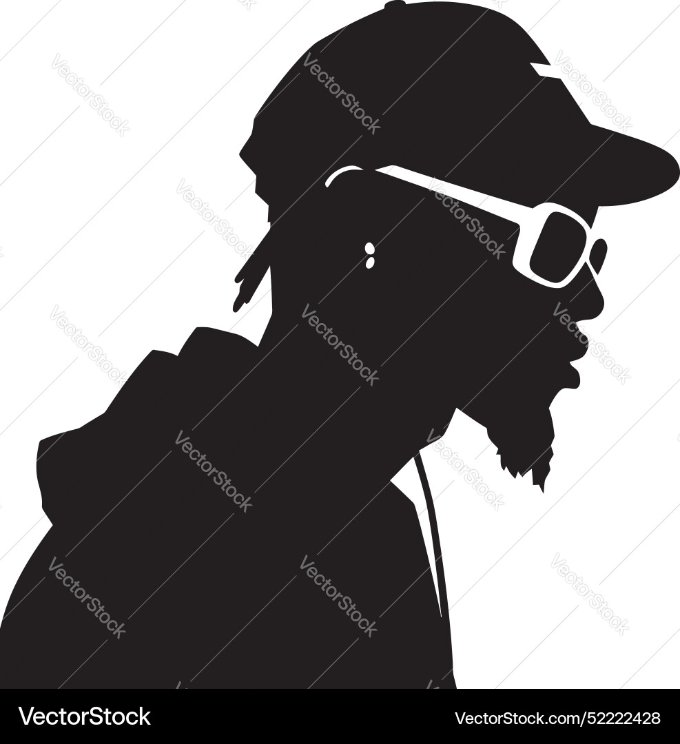 Streetvibe iconic rapper design groovemaster Vector Image