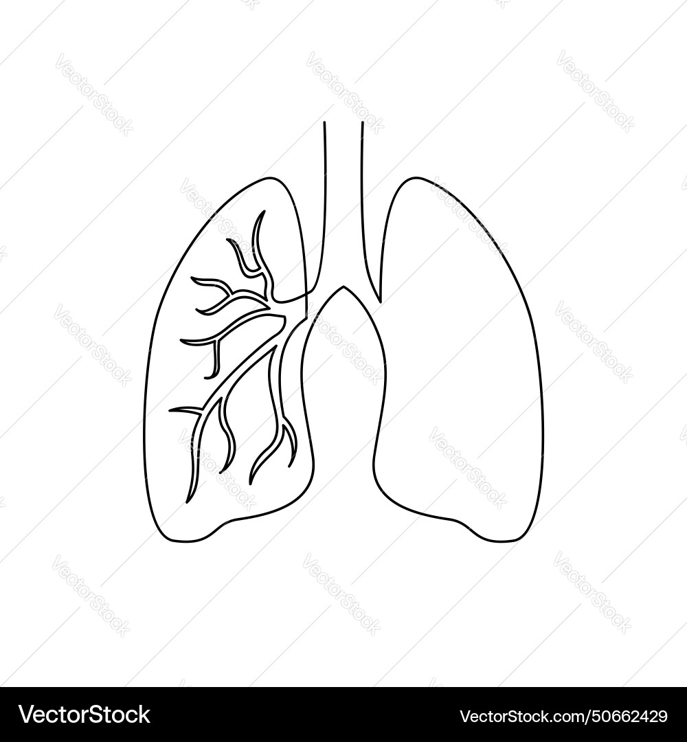 Lung single line drawing Royalty Free Vector Image