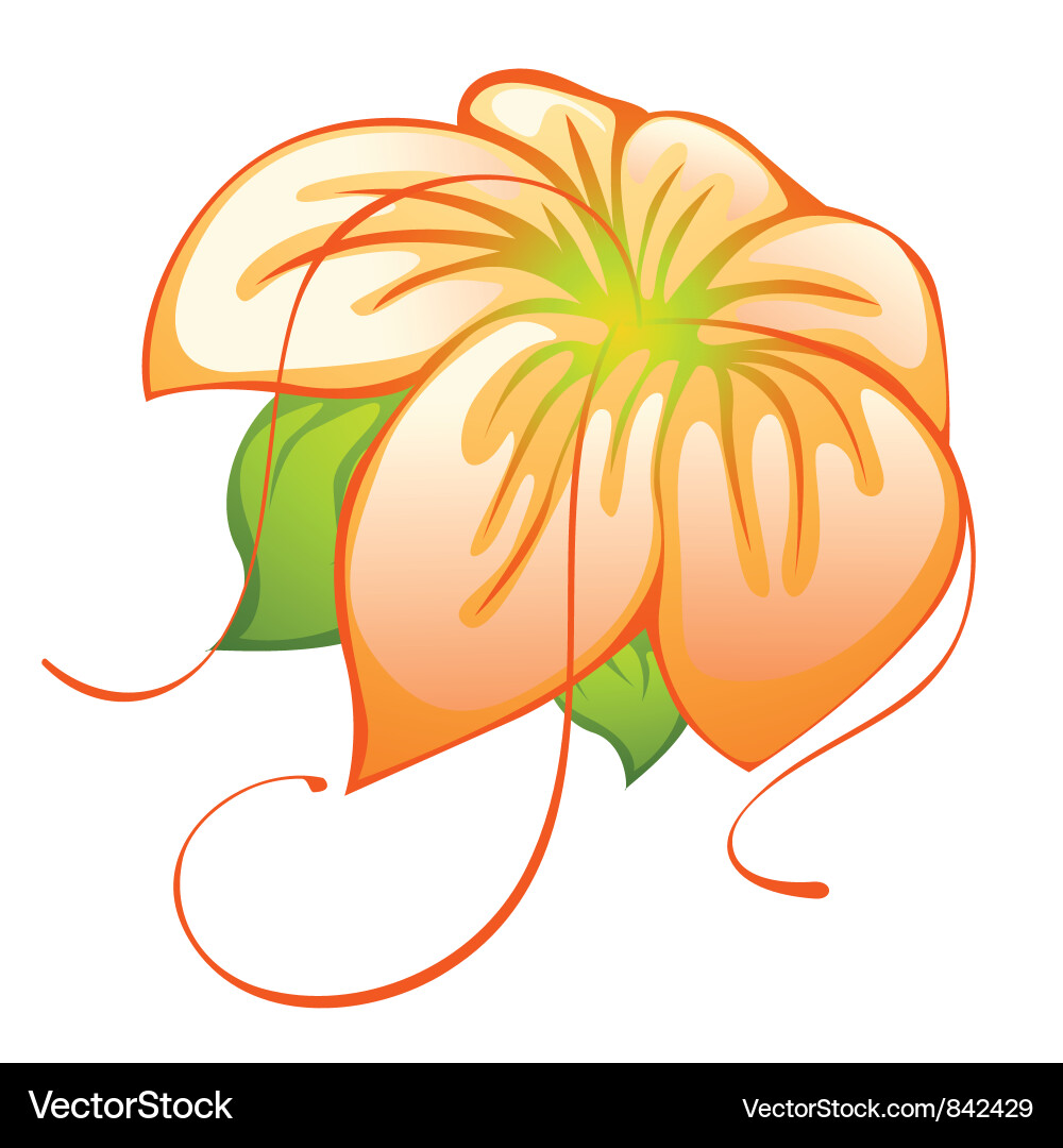 Orange flower Royalty Free Vector Image - VectorStock