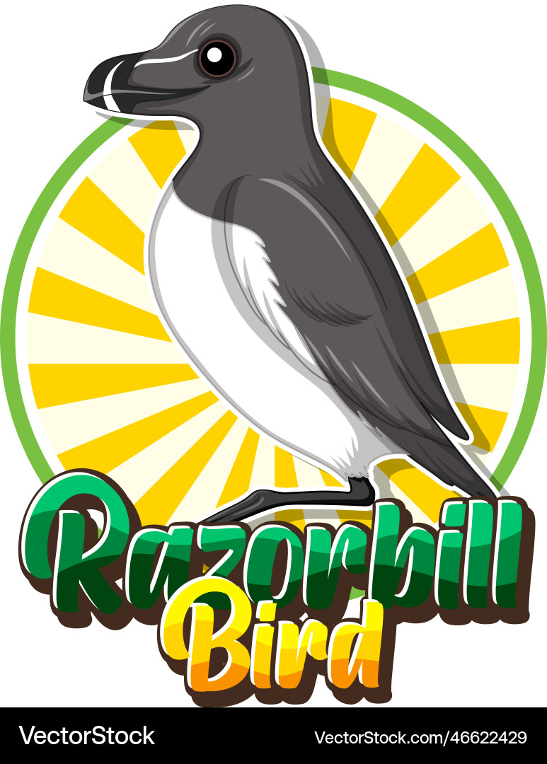 Razorbill bird logo with carton character Vector Image