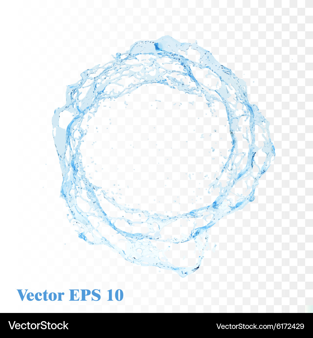 Water splash isolated Royalty Free Vector Image