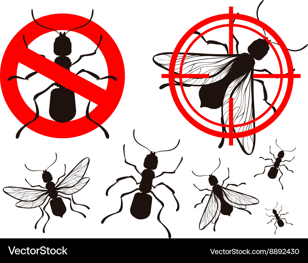 Pest control ant icons set Royalty Free Vector Image
