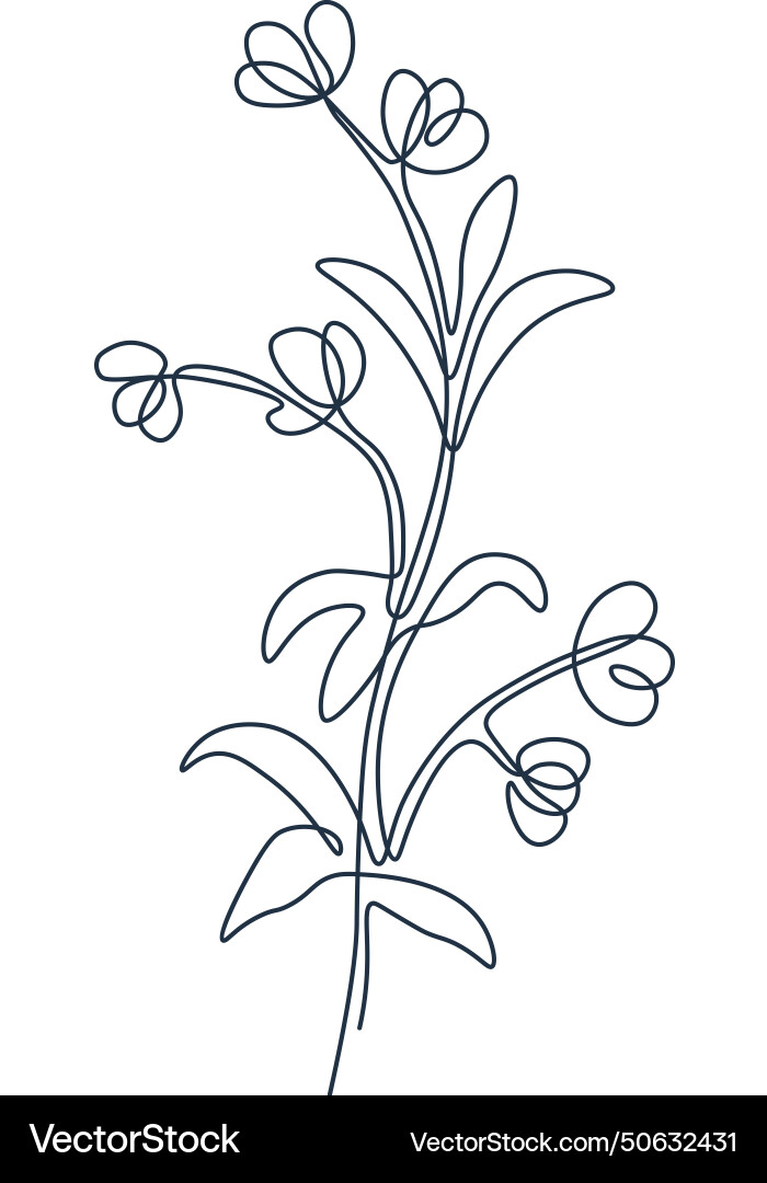 Flower plant outline Royalty Free Vector Image