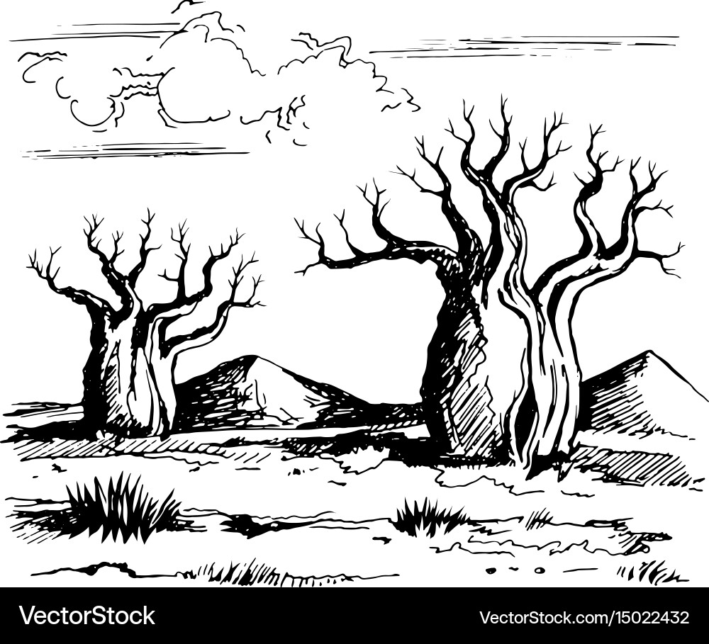 Australia landscape with baobab trees Royalty Free Vector