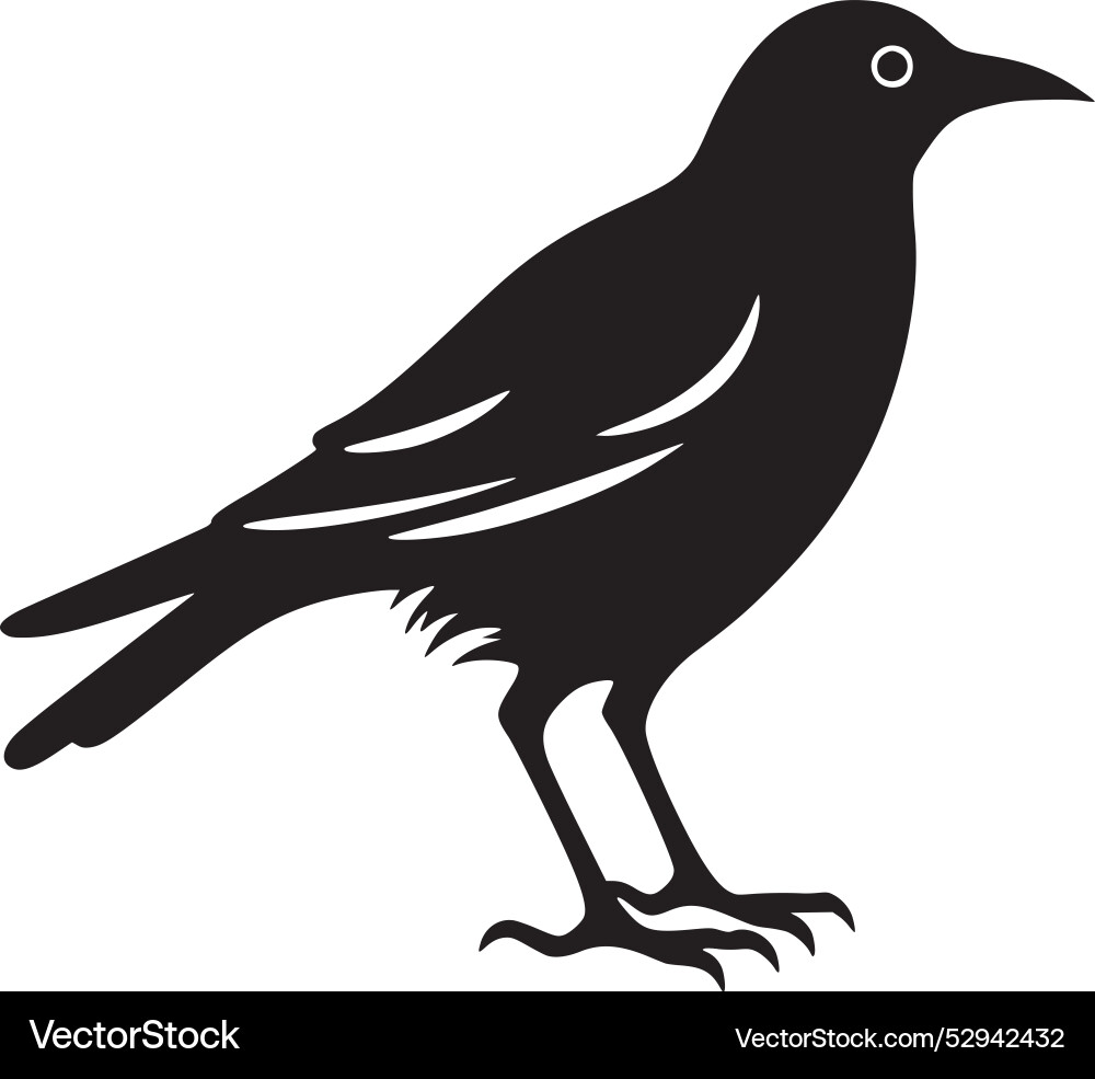 Crow - high quality logo - ideal for t-shirt Vector Image