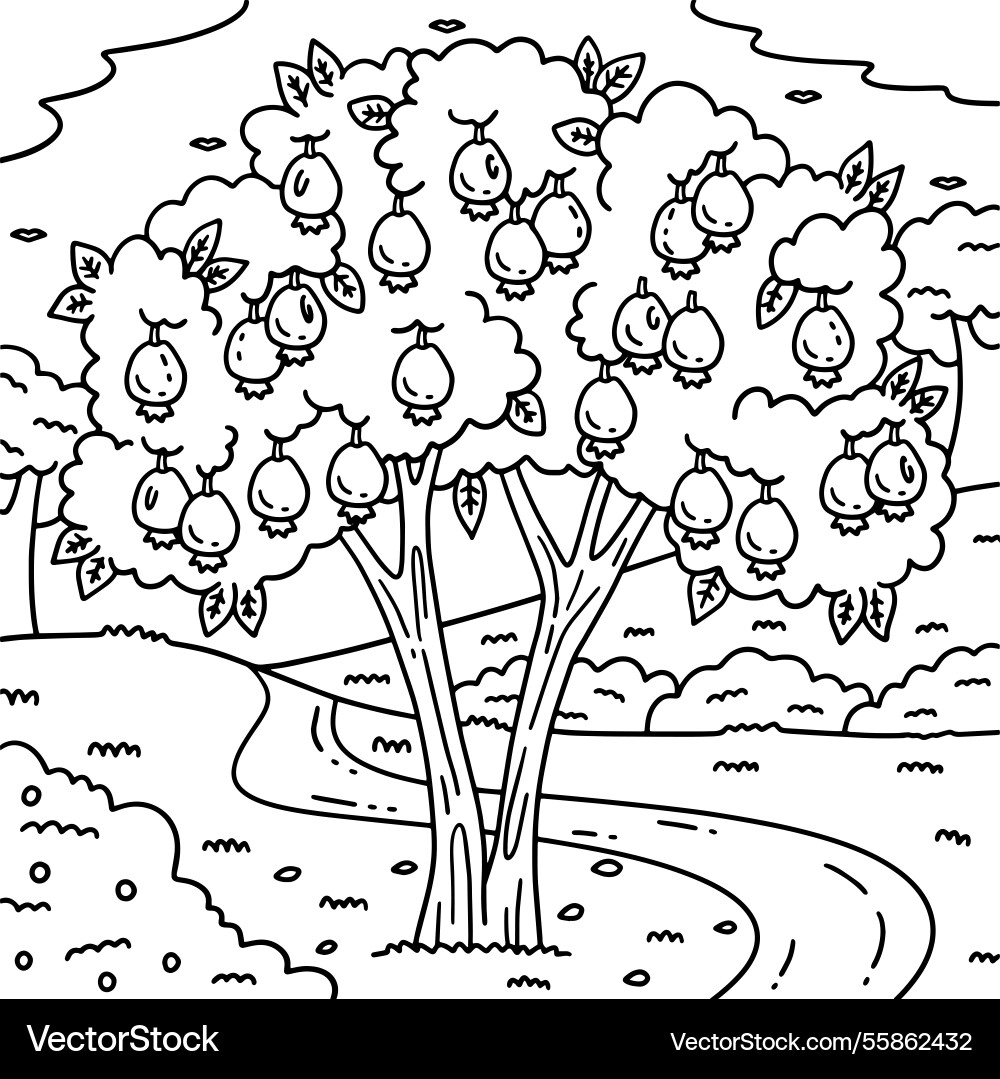 Guava tree fruit plant coloring page for kids Vector Image