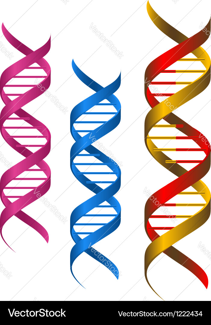 Dna elements Royalty Free Vector Image - VectorStock