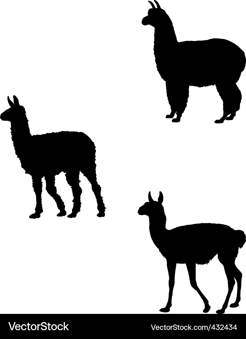 Lama Vector Images (over 7,600)