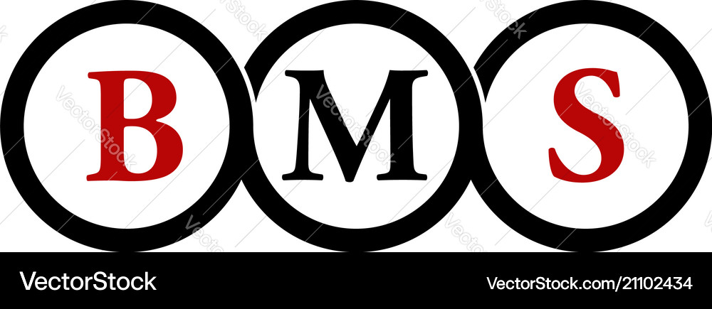 Letter bms modern icon photography Royalty Free Vector Image