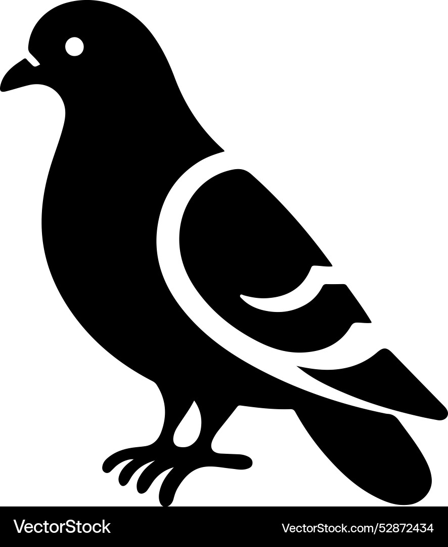 Pigeon dreams Royalty Free Vector Image - VectorStock