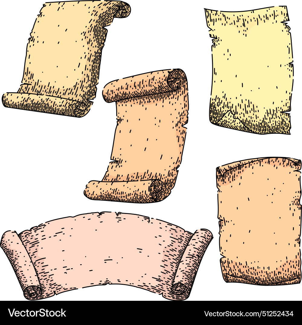 Scroll paper set sketch hand drawn Royalty Free Vector Image