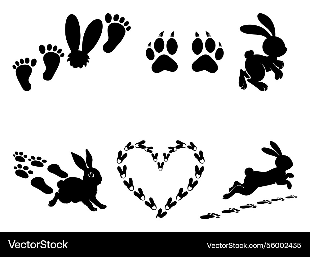 Bunny footprints and rabbit silhouette clipart Vector Image