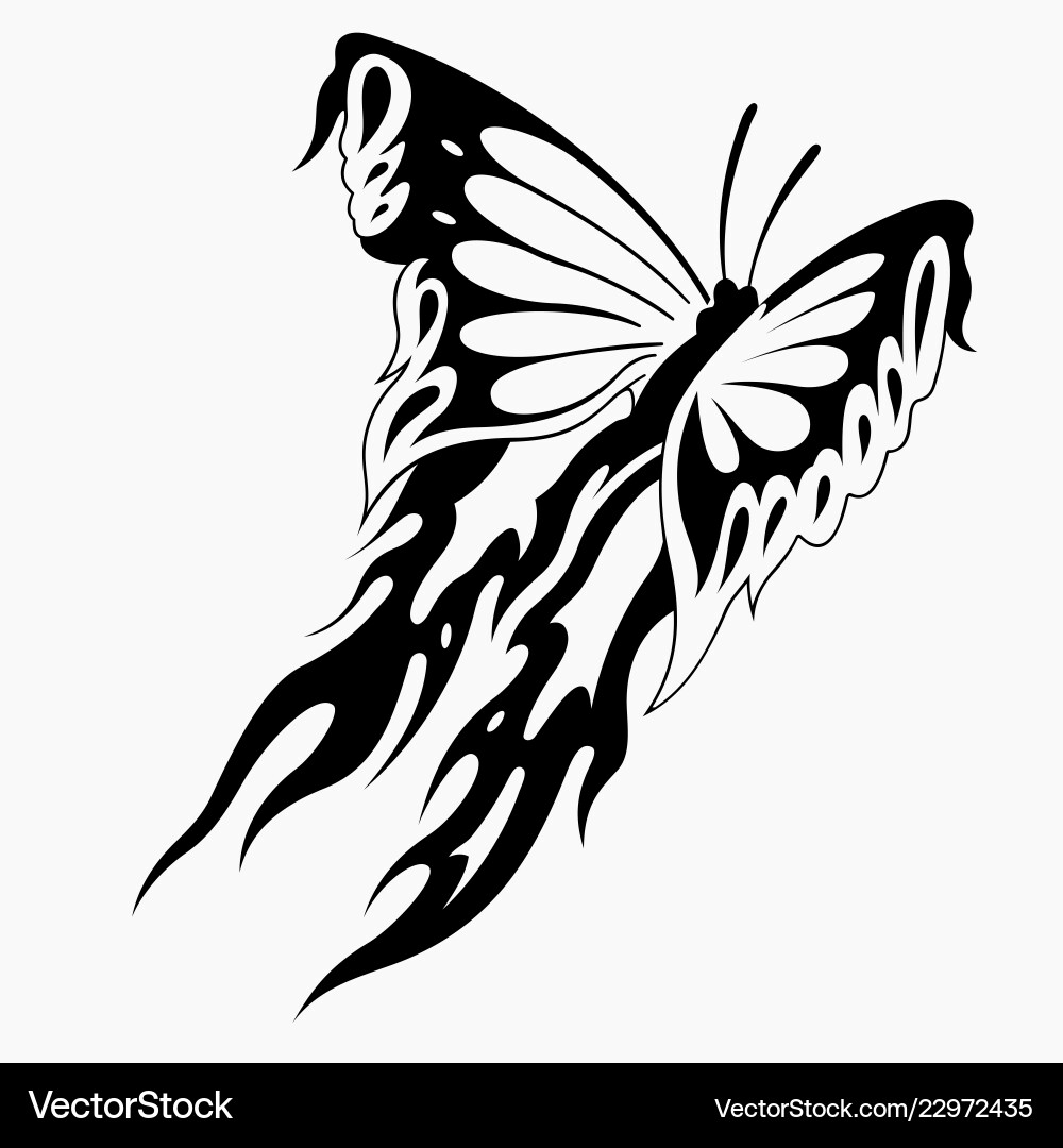 Elegant Butterfly Motif Royalty Free Vector Image