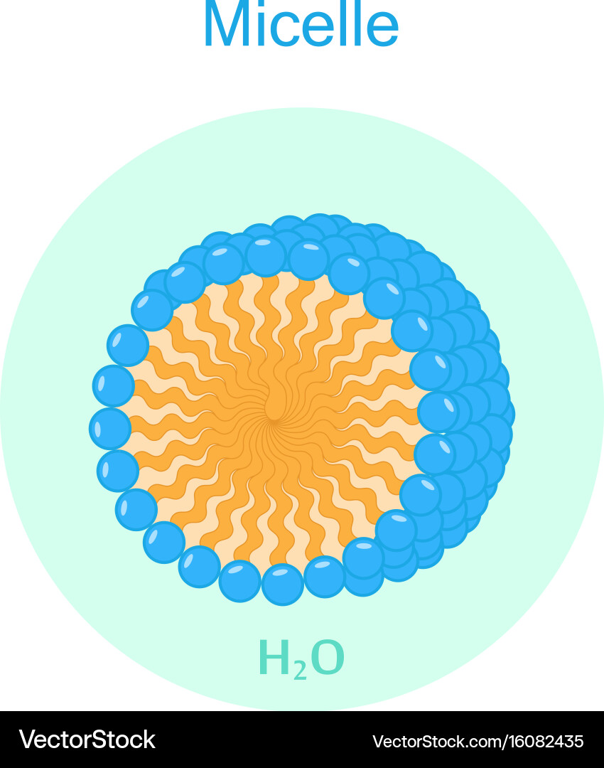 Liposomal Vector Images (34)