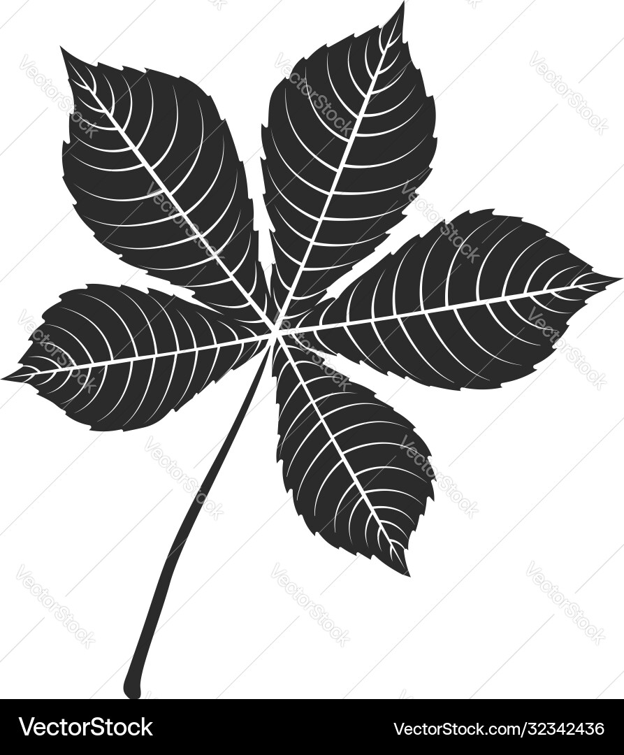 Chestnut leaf icon Royalty Free Vector Image - VectorStock