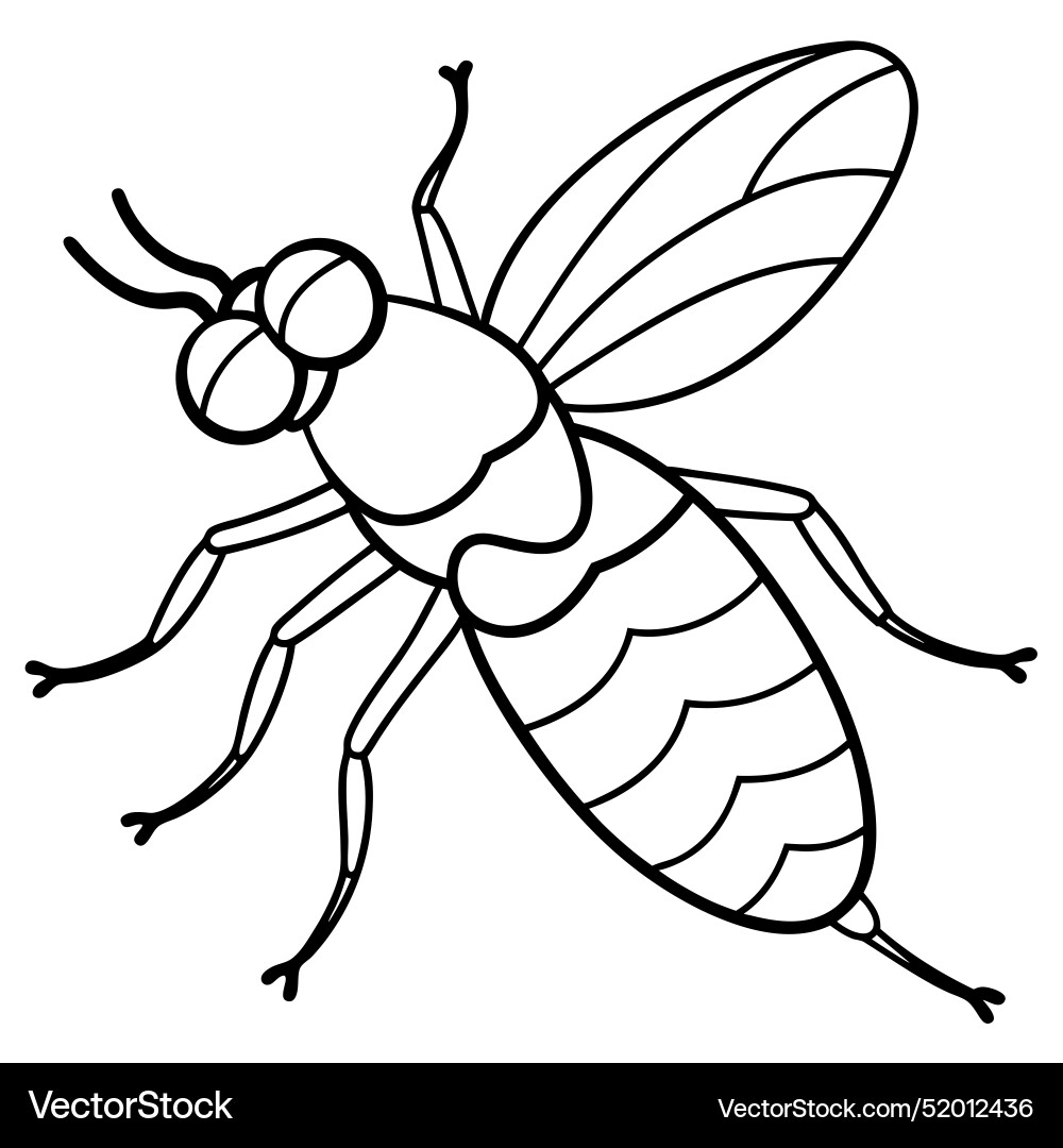Fly bug walks icon Royalty Free Vector Image - VectorStock