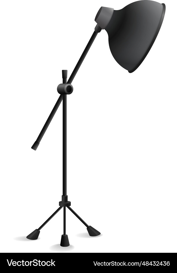 Photo studio lighting equipment Royalty Free Vector Image