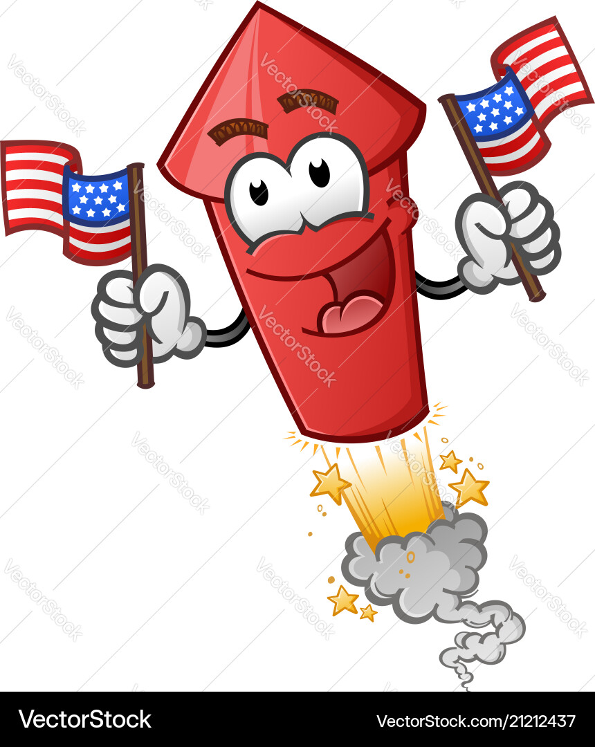 American Firework with Flags Royalty Free Vector Image