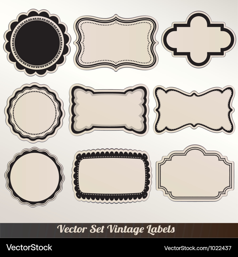 Frame labels set ornamental vintage decorat Vector Image