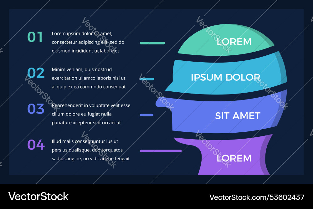 Male face - infographic template Royalty Free Vector Image