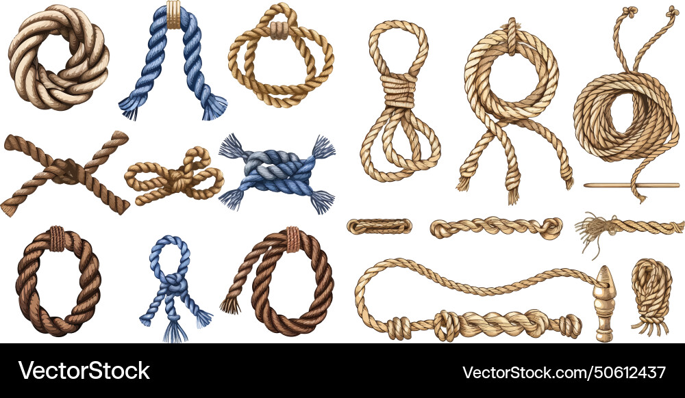 Rope knots Royalty Free Vector Image - VectorStock