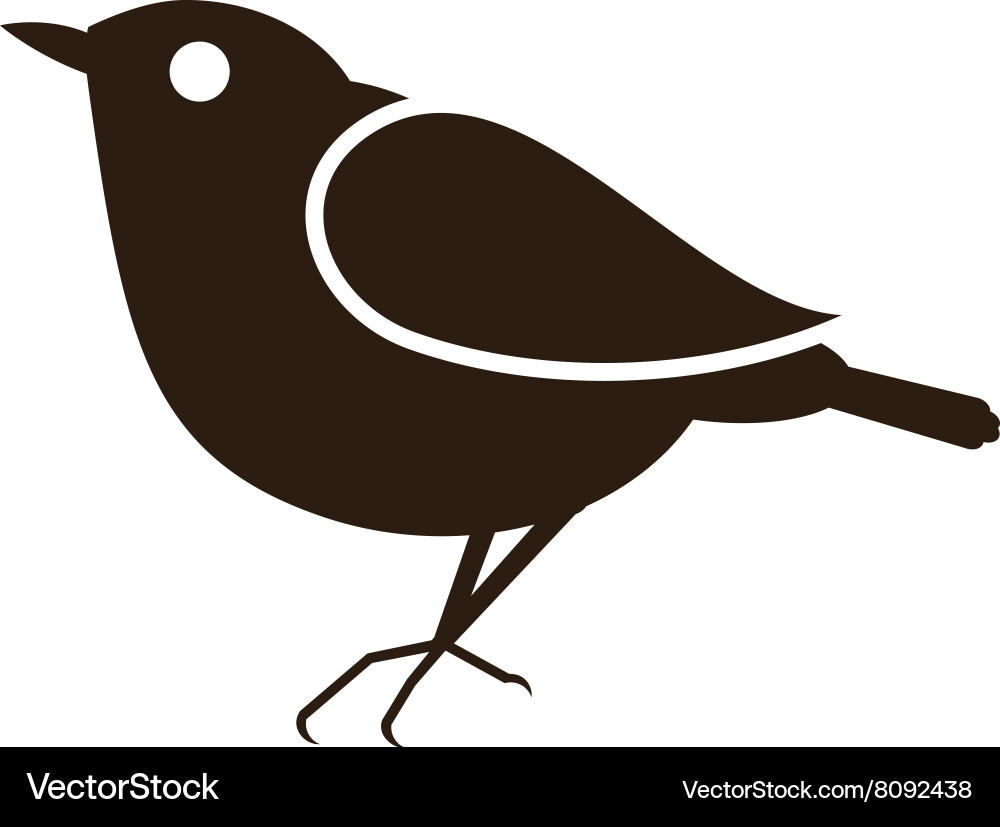 Blackbird Royalty Free Vector Image - VectorStock