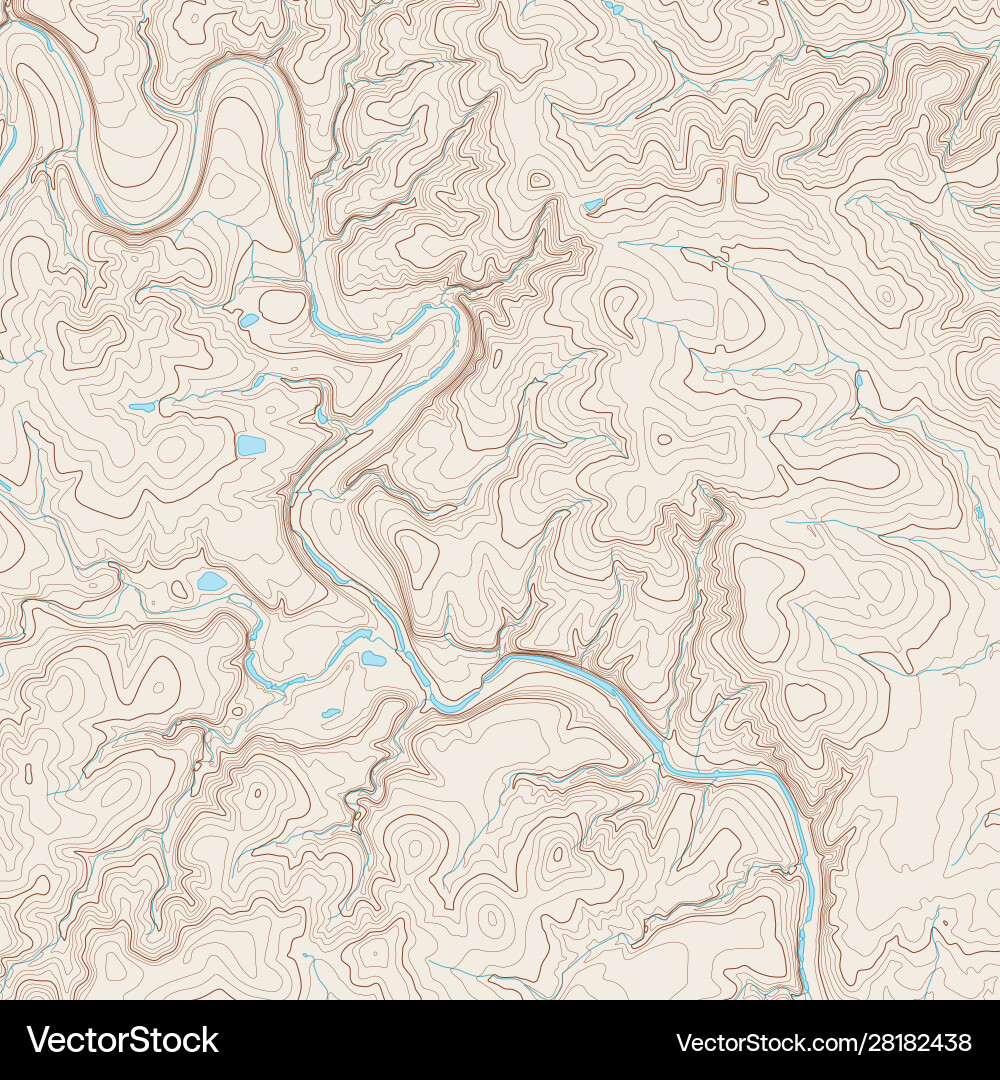 Detailed Topographic Map Royalty Free Vector Image