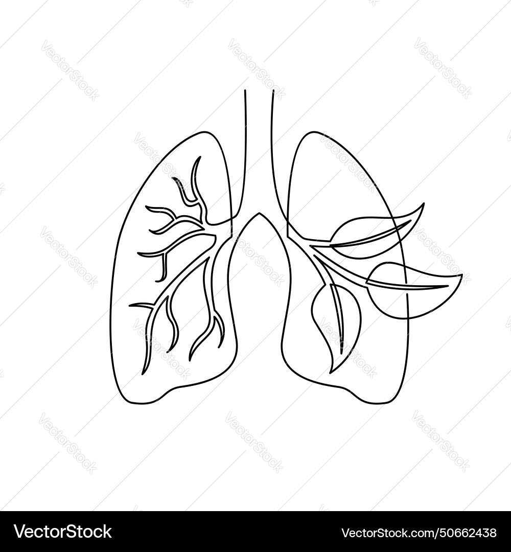 Lung single line drawing Royalty Free Vector Image