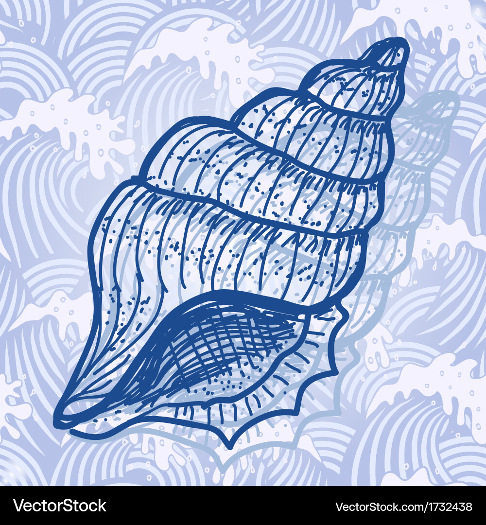 Vintage Seashell Sketch Royalty Free Vector Image