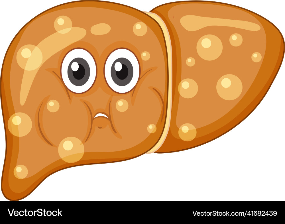 Fat liver with face expression on white background – Royalty-Free ...