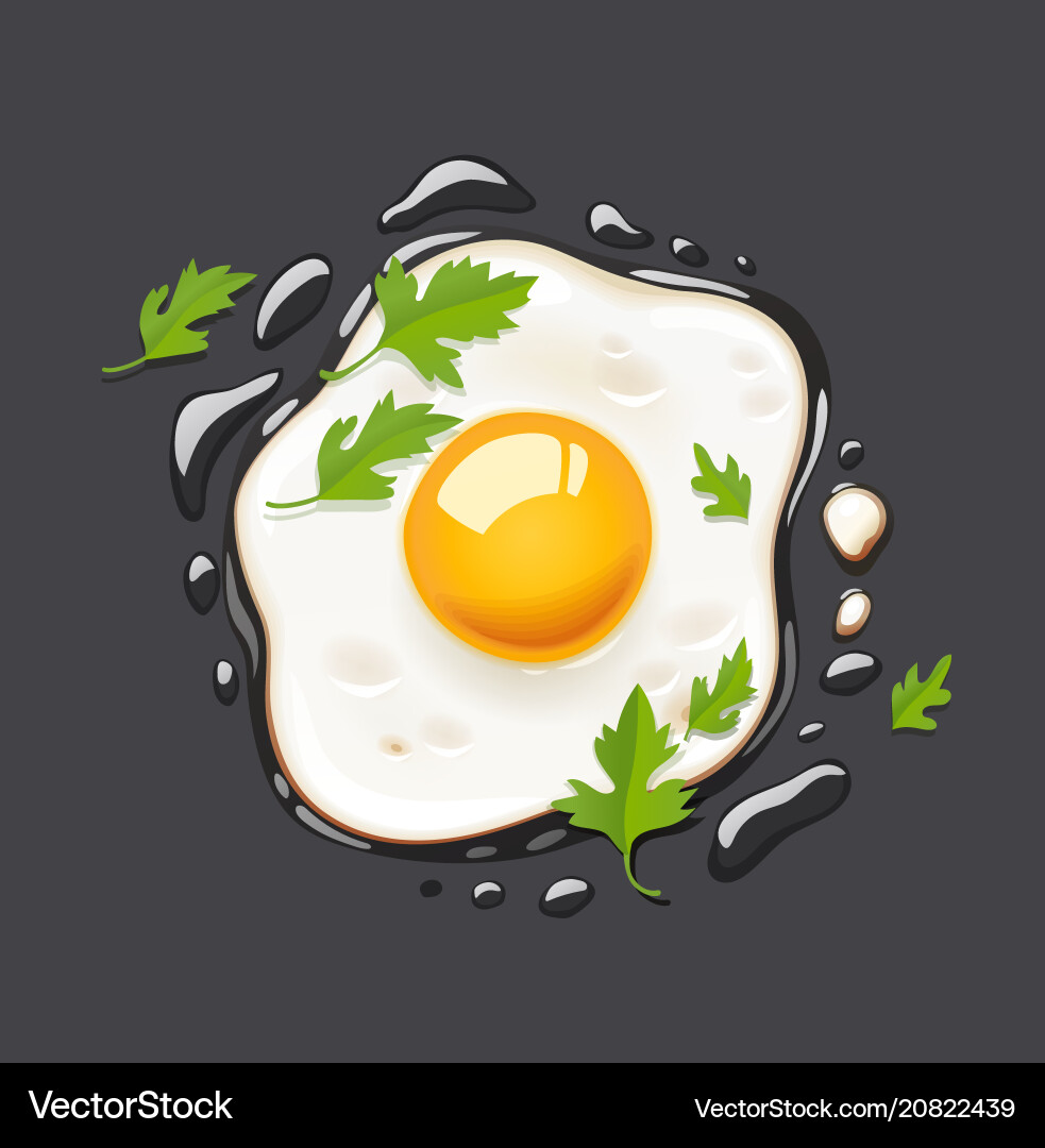 Fried egg fast food Royalty Free Vector Image - VectorStock