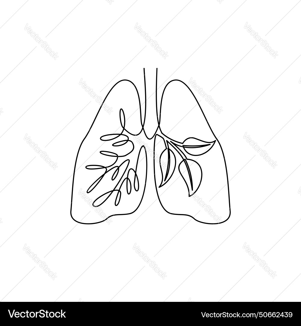 Lung single line drawing Royalty Free Vector Image