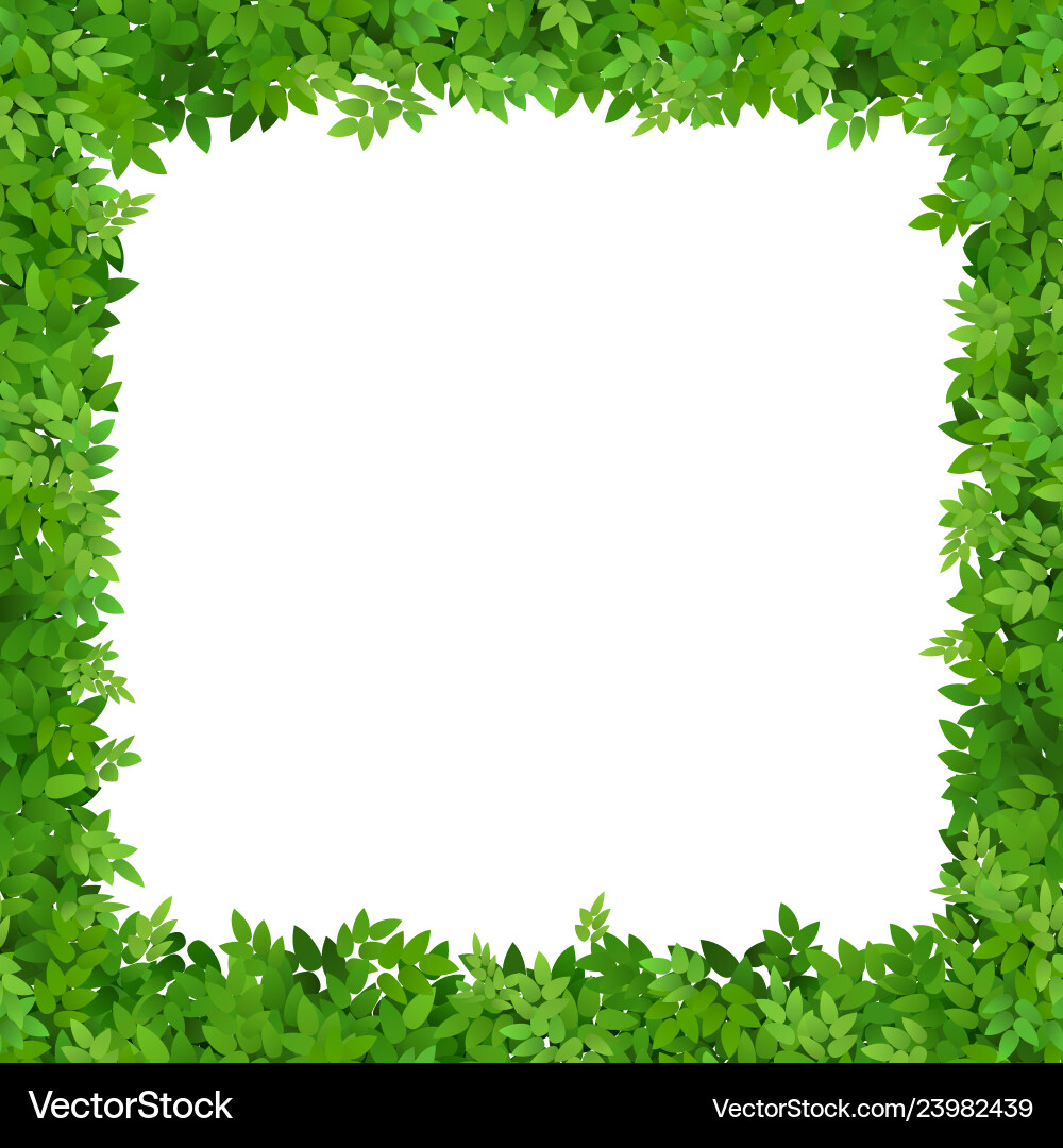 Square frame of leaves Royalty Free Vector Image