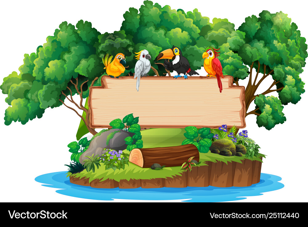 Frame Clipart Toucan Vector Images (86)