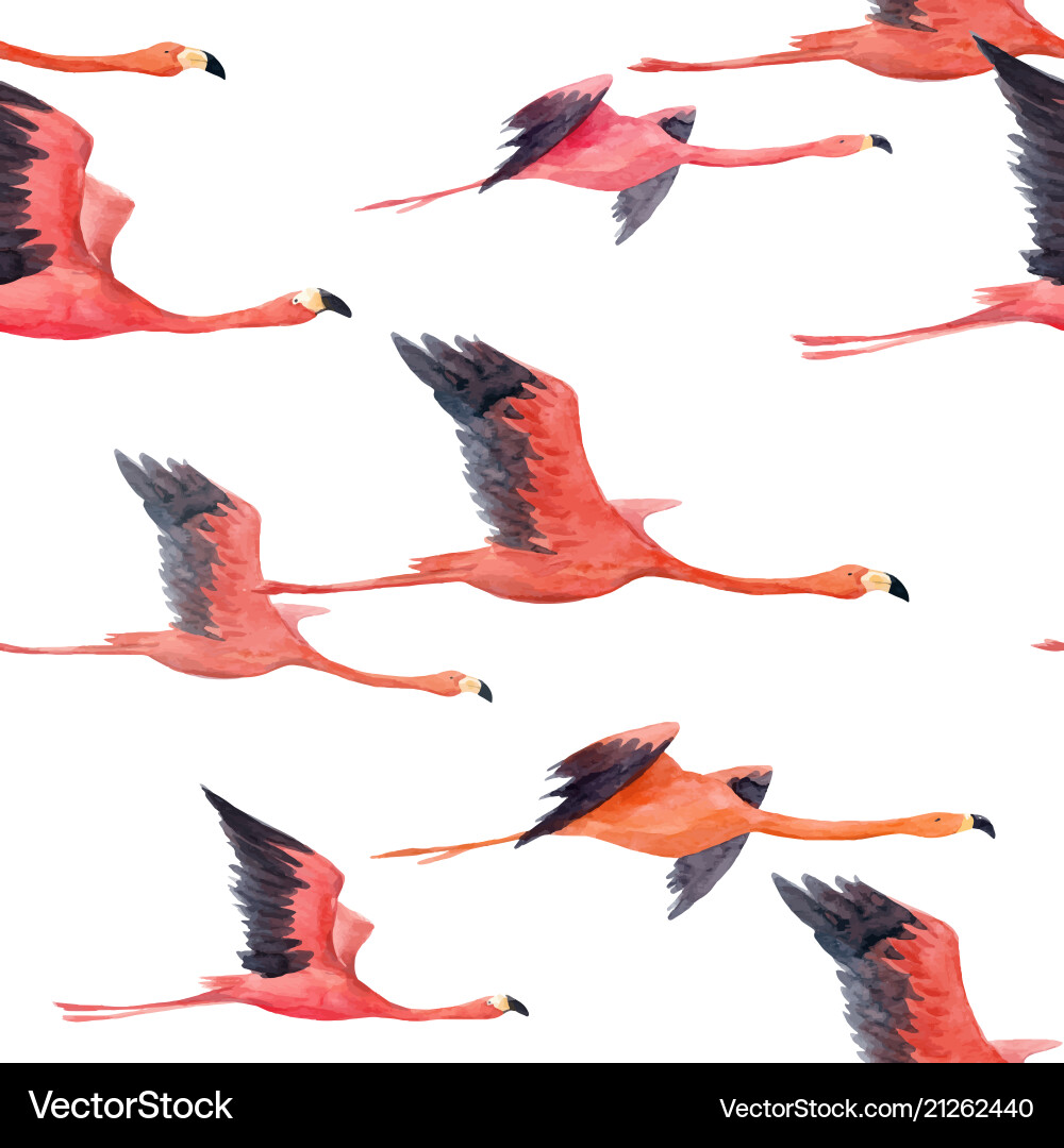 Watercolor flamingo pattern Royalty Free Vector Image
