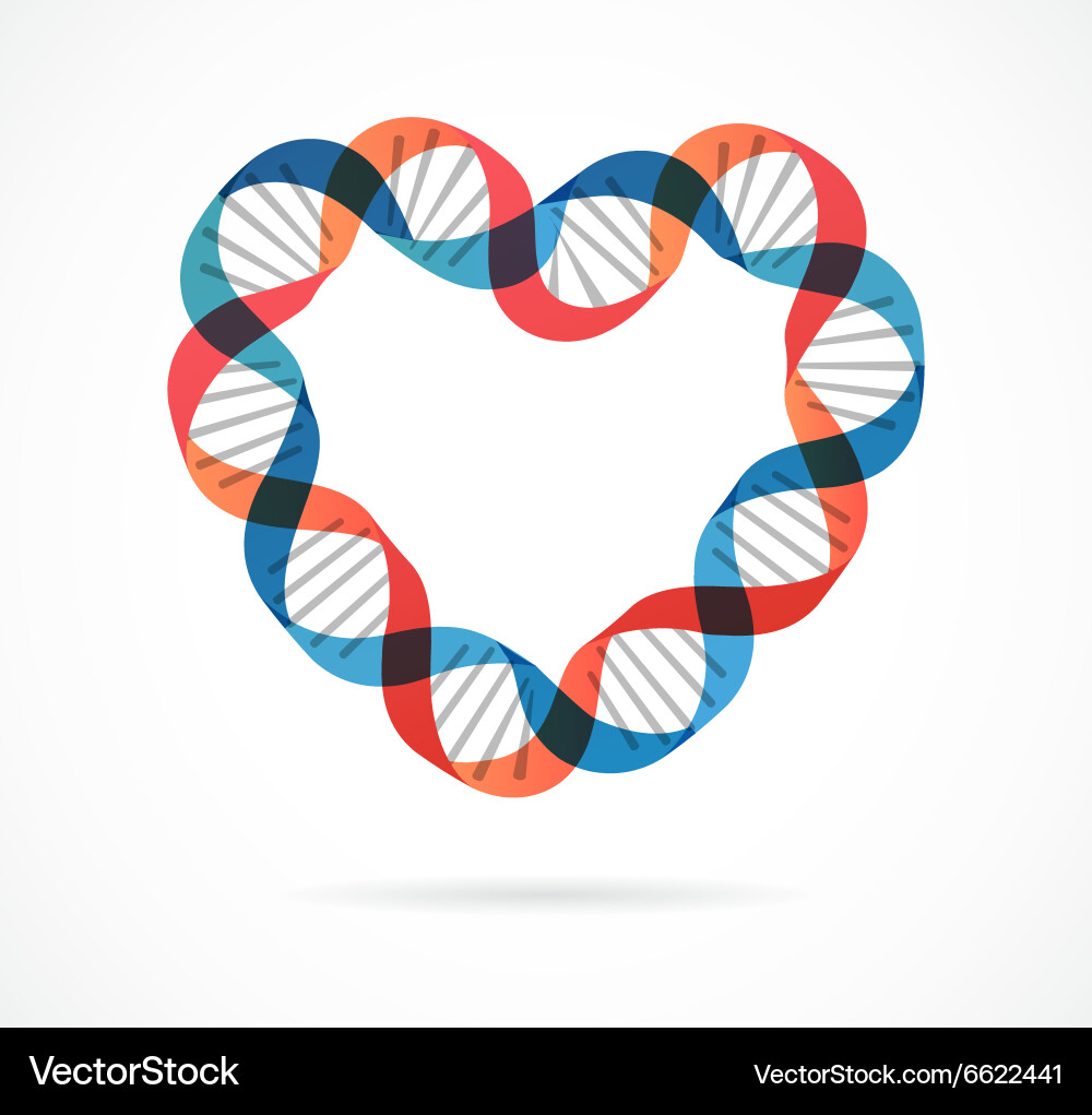 Dna genetic icon - heart Royalty Free Vector Image