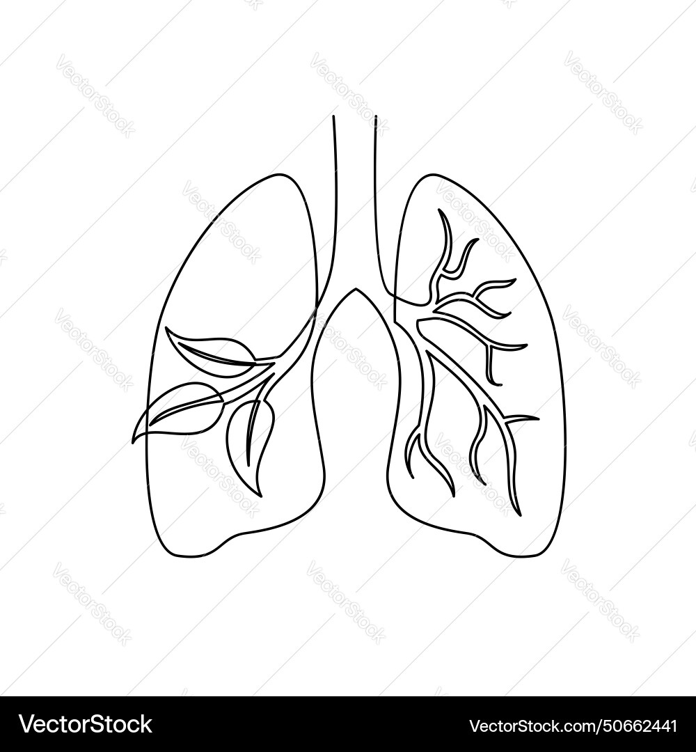 Lung single line drawing Royalty Free Vector Image