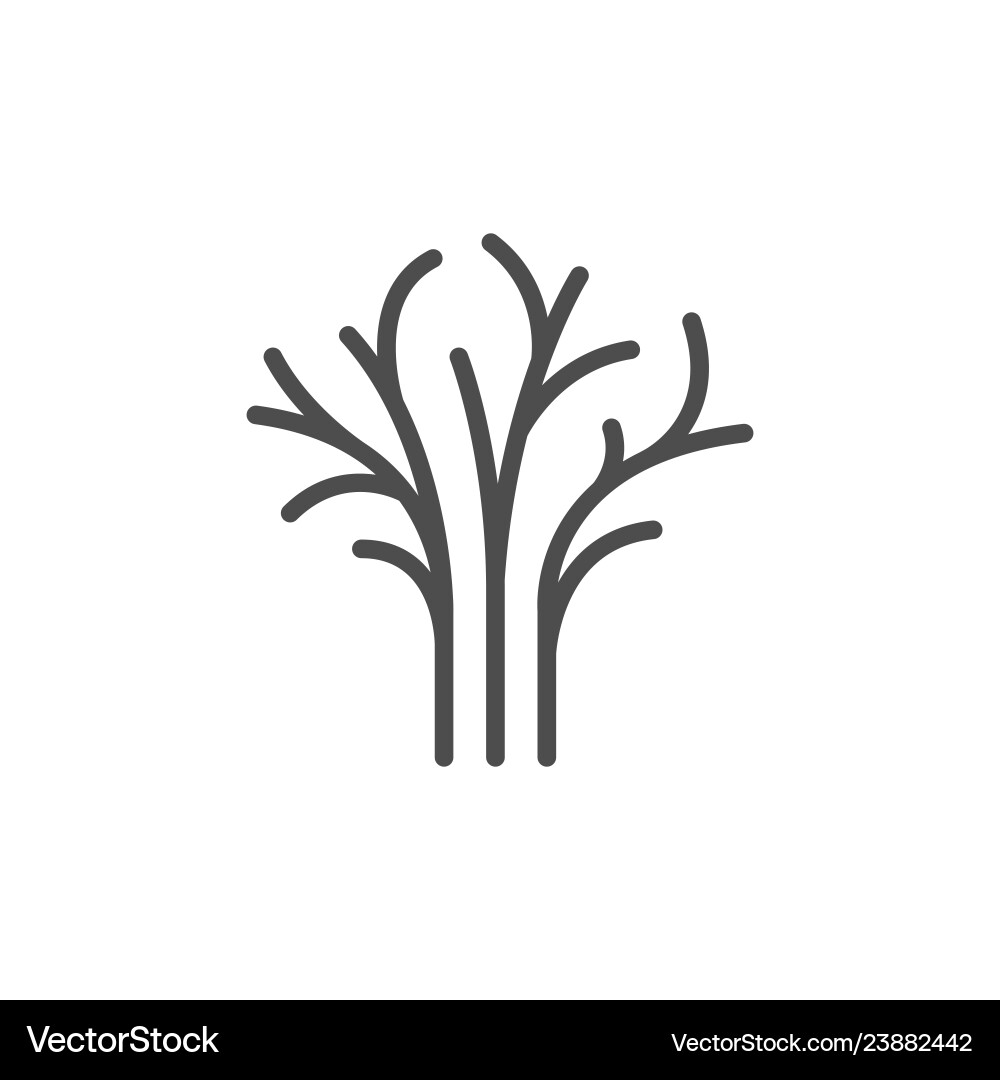 Dill line icon Royalty Free Vector Image - VectorStock