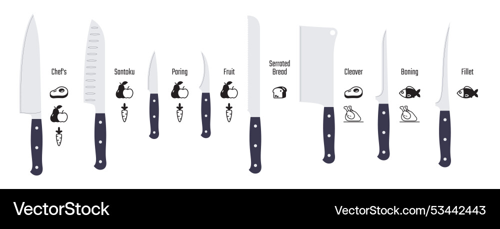 A set of kitchen knives professional cook tools Vector Image