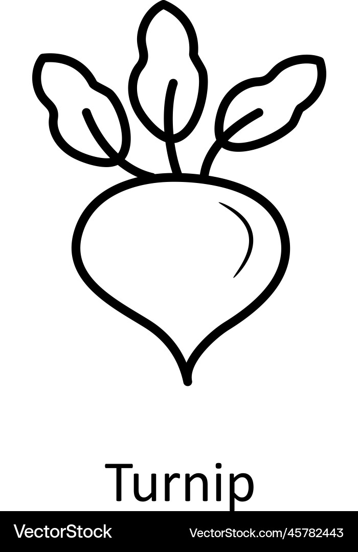 Turnip outline icon design na Royalty Free Vector Image