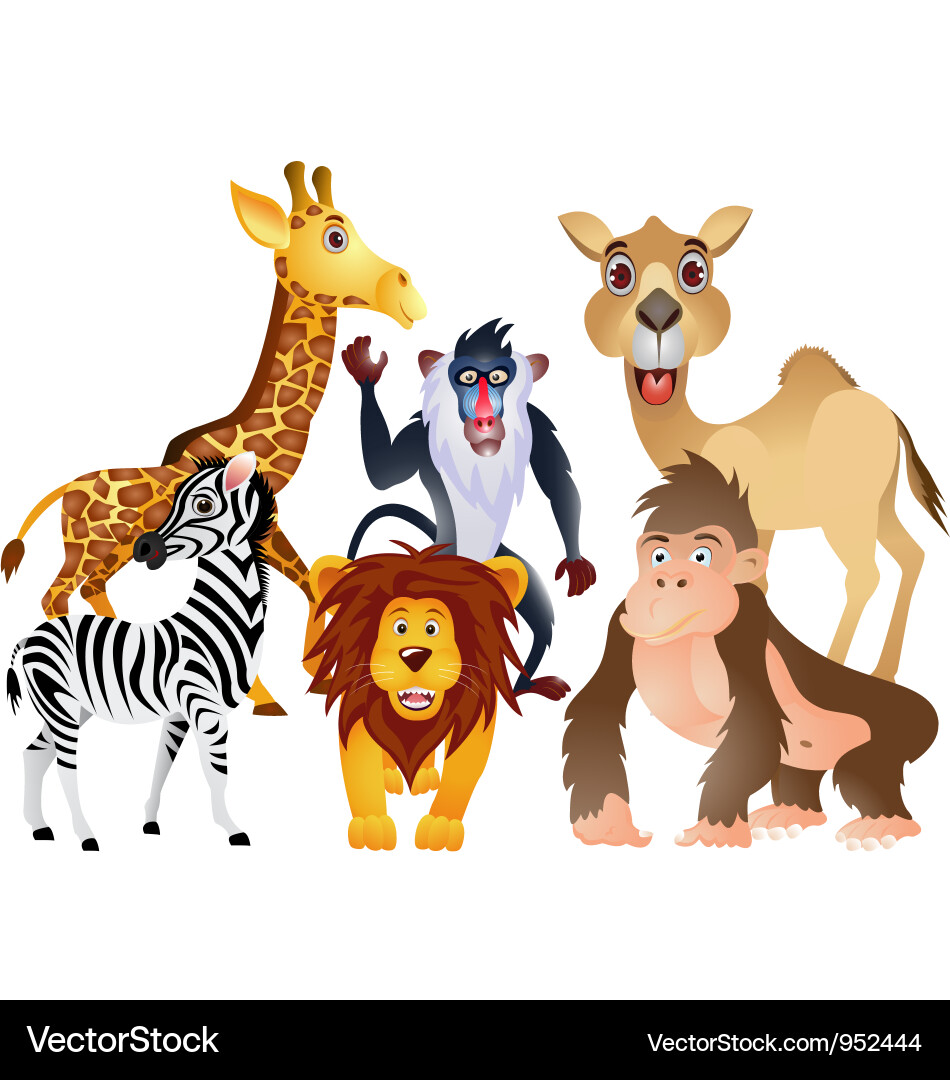 Animal collection Royalty Free Vector Image - VectorStock