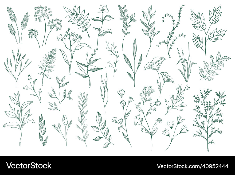 Floral decorative elements set Royalty Free Vector Image