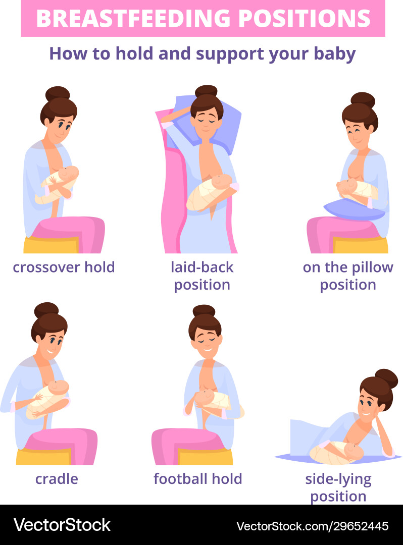 Breastfeeding Positions & Comfort Royalty Free Vector